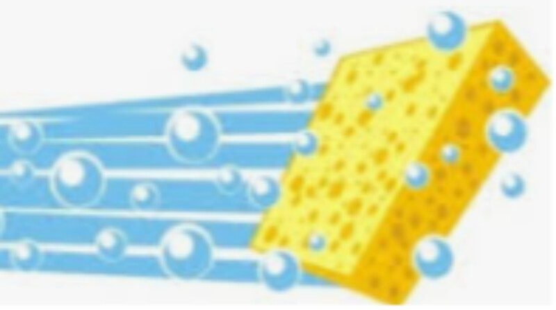 GoodHub | Starfish Class - Sponsored Sponge Throw